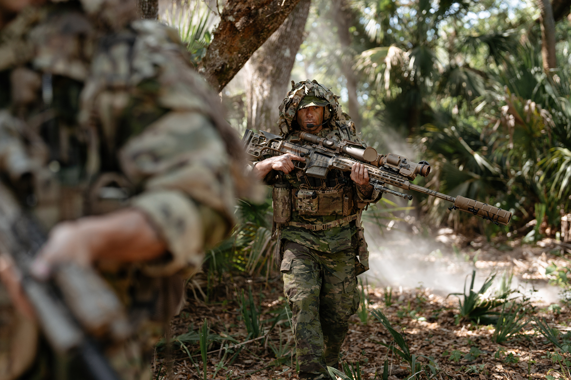 Family of Weapon Sights (FWS) | Leonardo DRS