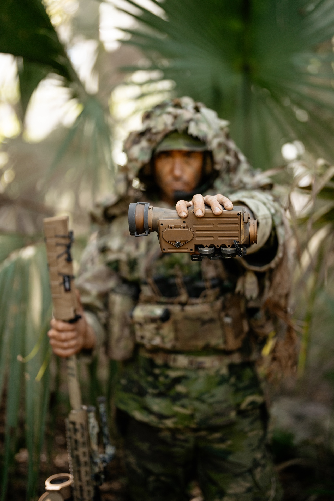 Family of Weapon Sights (FWS) | Leonardo DRS