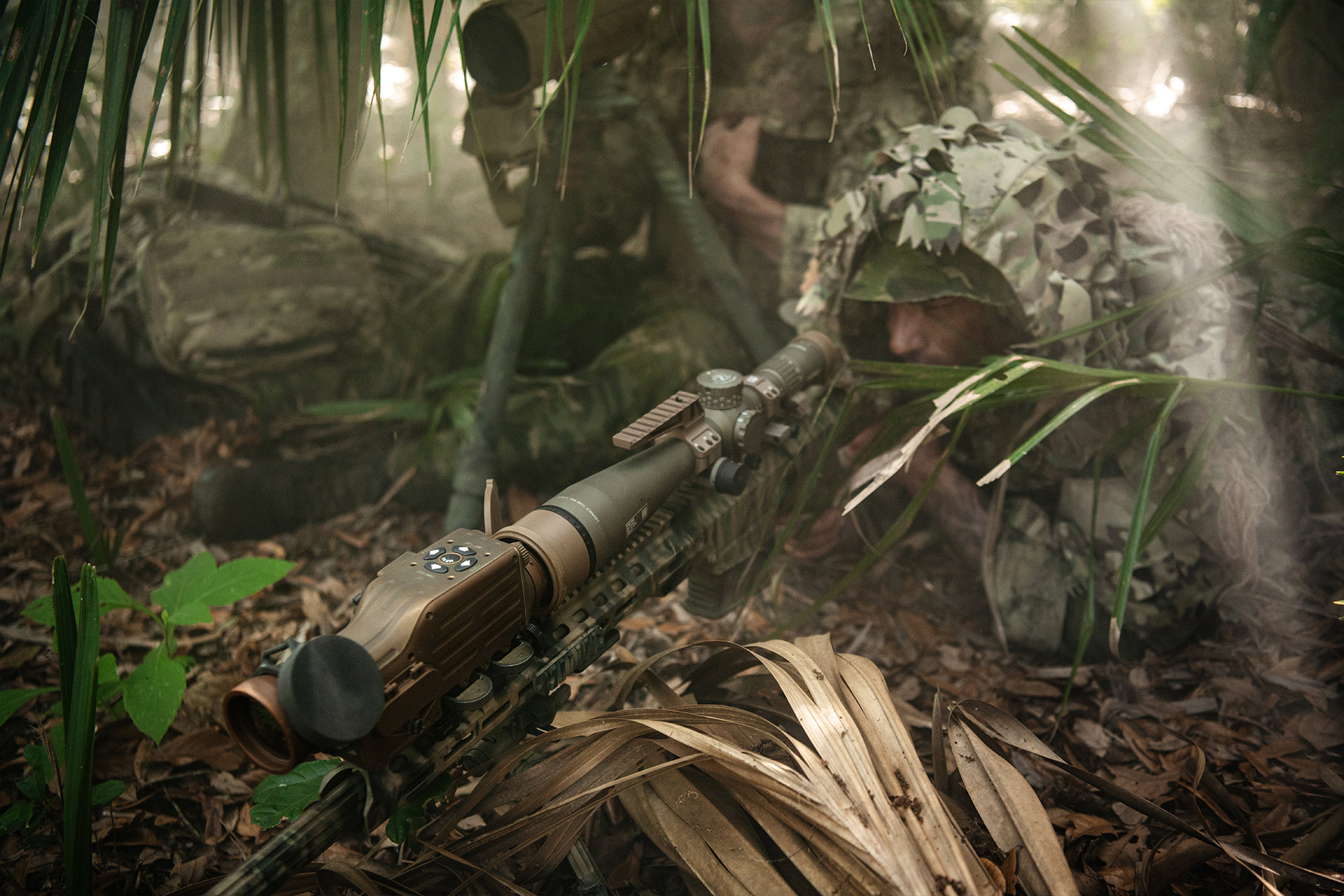 Family of Weapon Sights (FWS) | Leonardo DRS